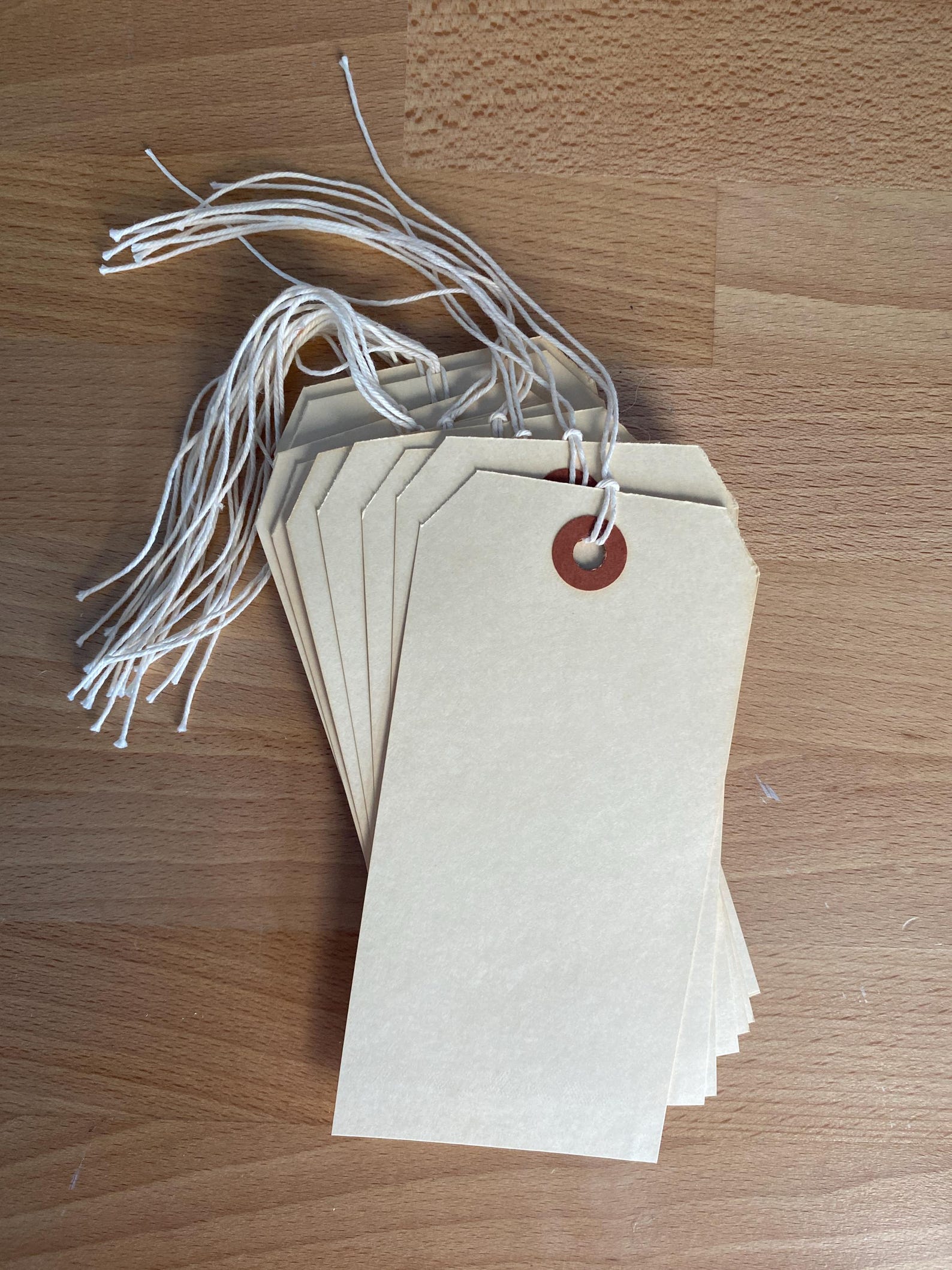 Blank Manila Tags Set: Large Pre-strung Reinforced Paper Tags - Etsy