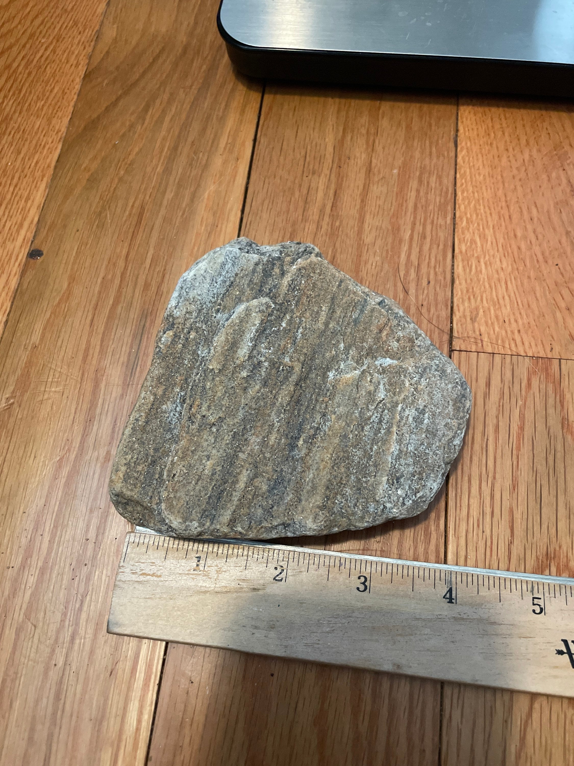 Hornblende Gneiss