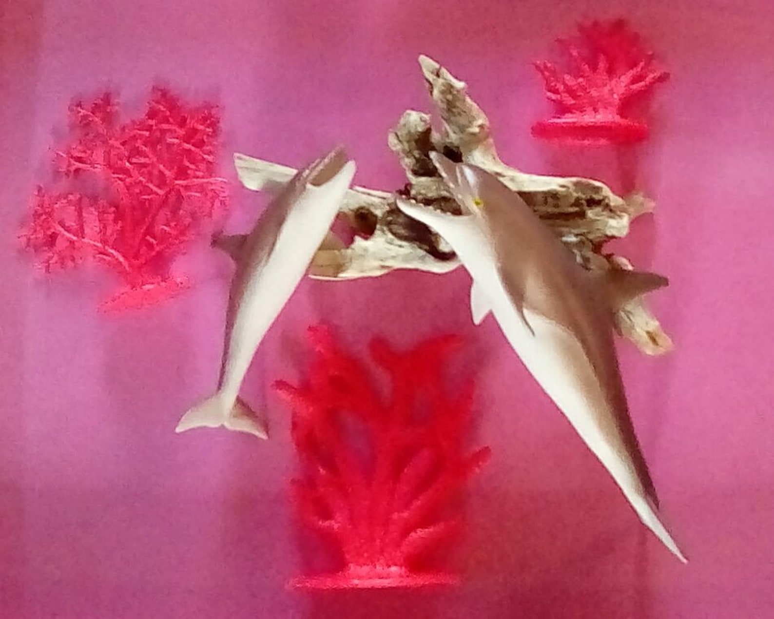 Plastic DolphinFigures Plastic Dolphins Plastic Toy | Etsy