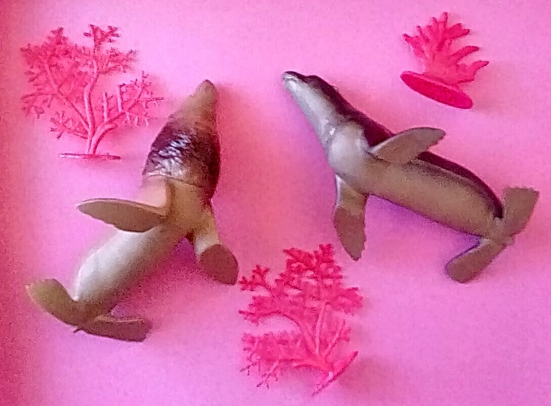 Plastic Sea Lion Figures Plastic Seals Plastic Toy Seals | Etsy