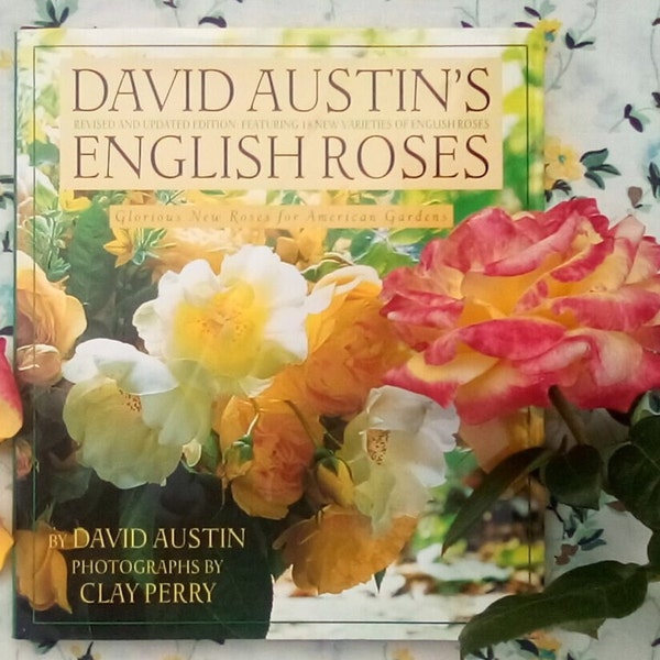 David Austin Roses - Etsy