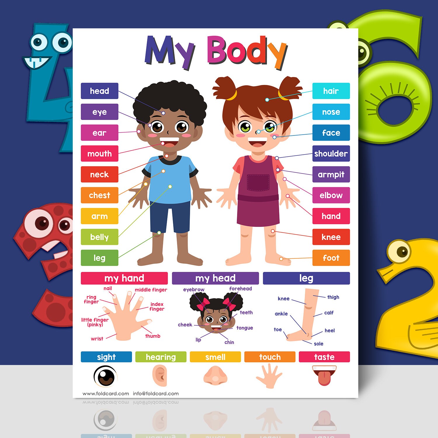 Educational Visual / Learning Aid Numbers 1-100, U.S. Money, Solar ...