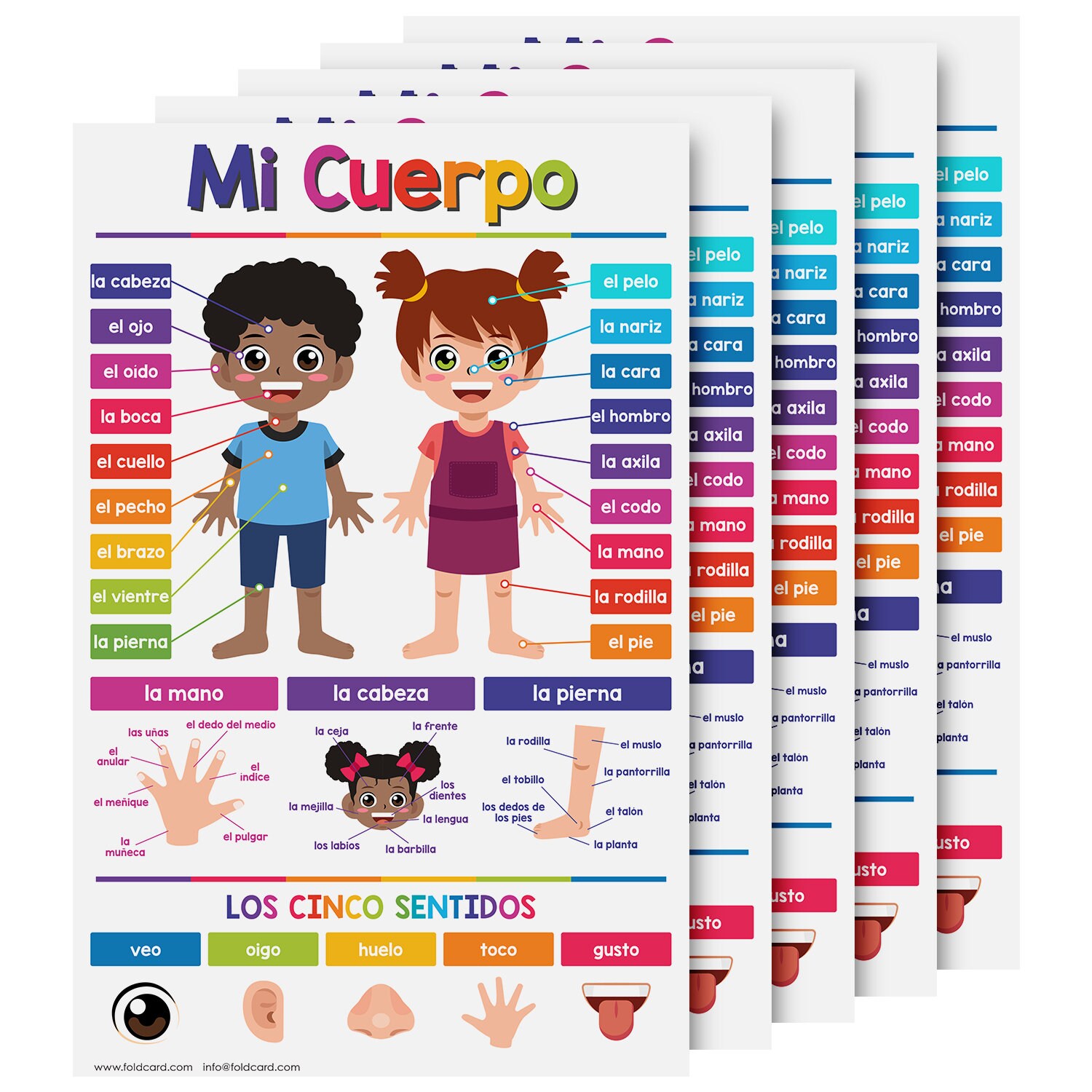 Spanish Numbers, Parts of the Body, Transportation, Time Chart and More ...