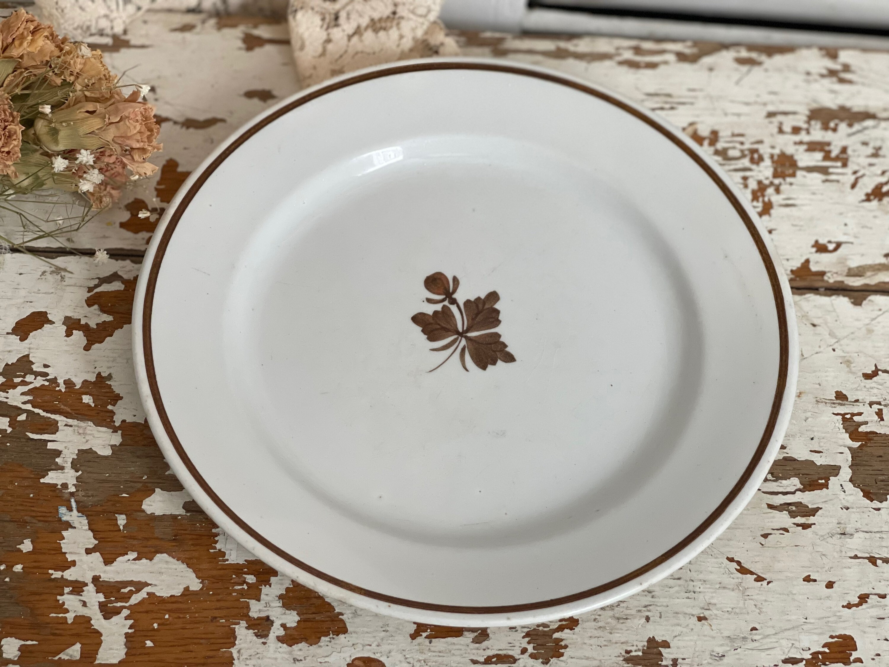 Vintage Ironstone Plate/ Brown/ England/ Kitchen/ Tea Leaf/ Old Plate ...