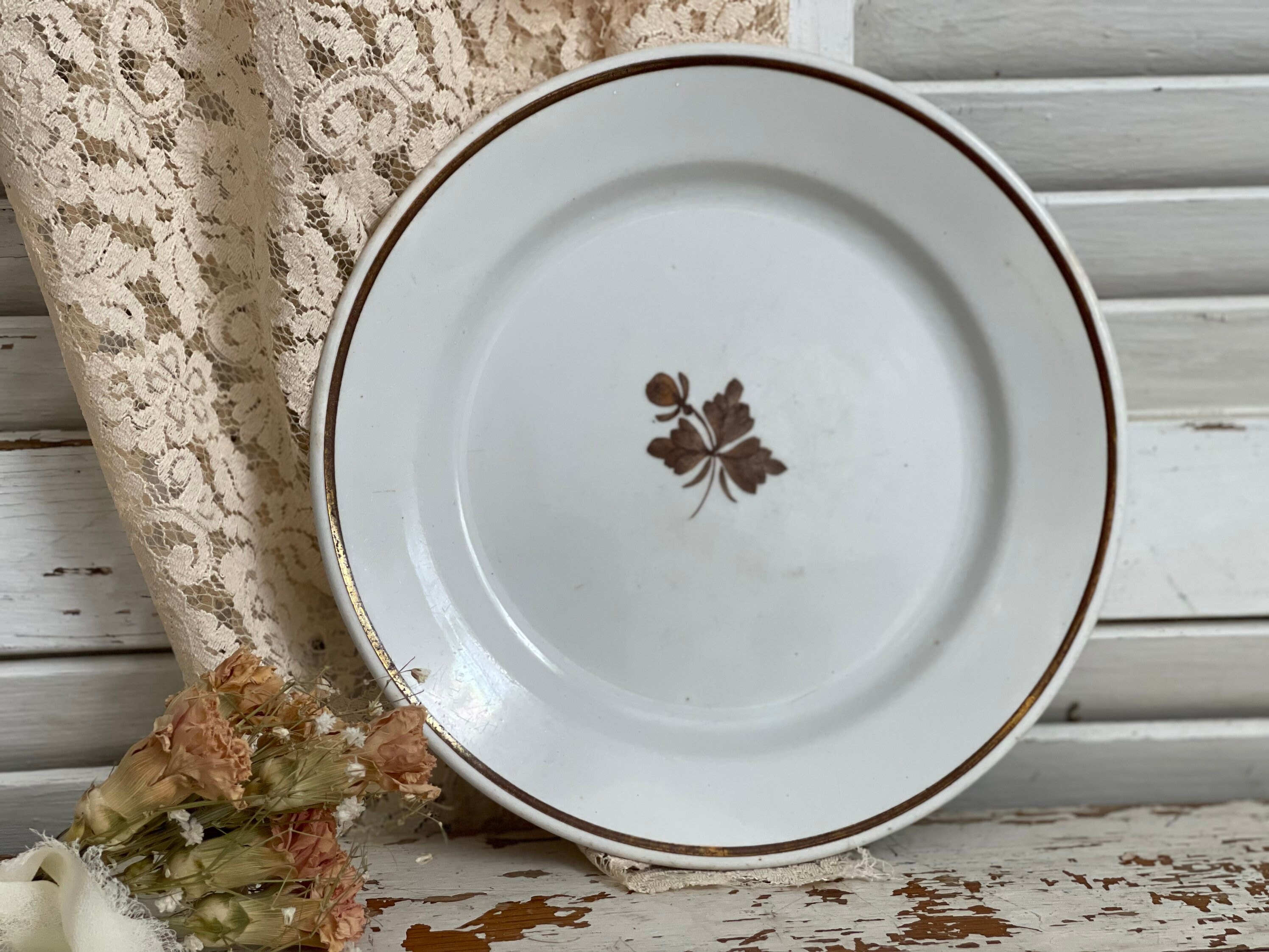 Vintage Ironstone Plate/ Brown/ England/ Kitchen/ Tea Leaf/ Old Plate ...