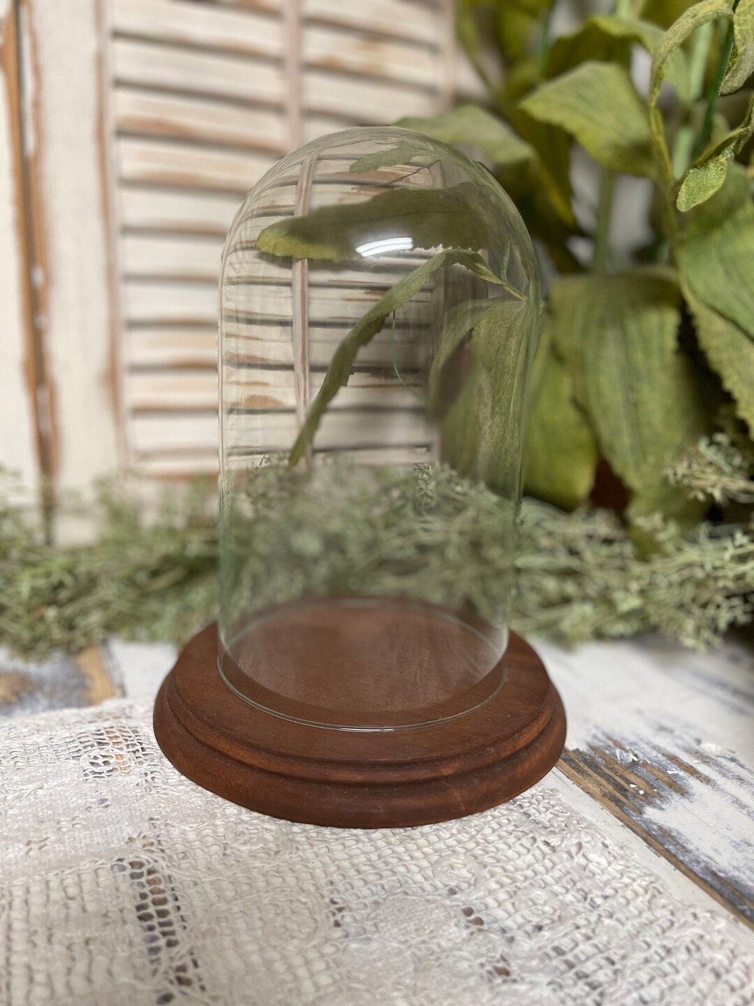 Glass Cloche/ Wood Base/ Glass Dome/ Curiosity/ Oddities/ Display ...