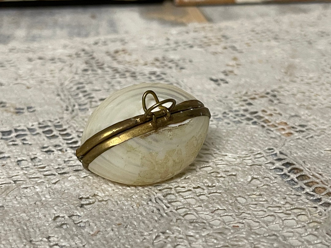 Vintage Shell Change Purse/ Gold Clasp/ Necklace Pendant/ Key Chain ...