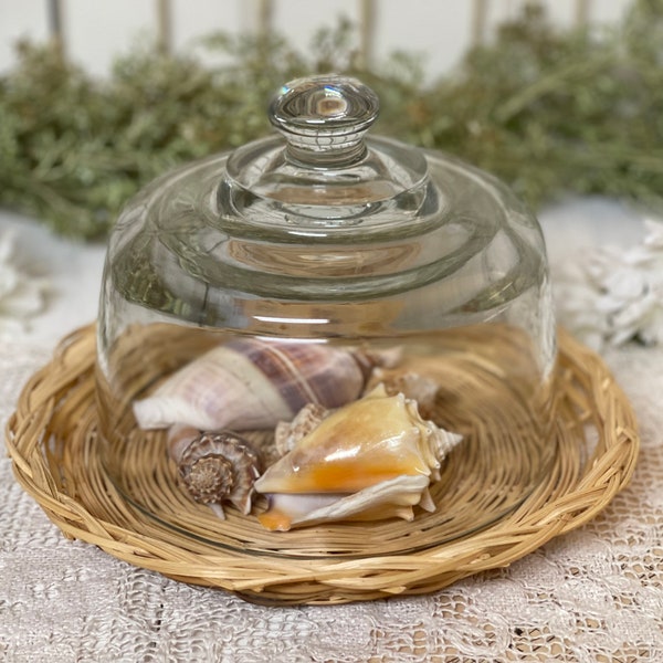 Cheese Cloche - Etsy