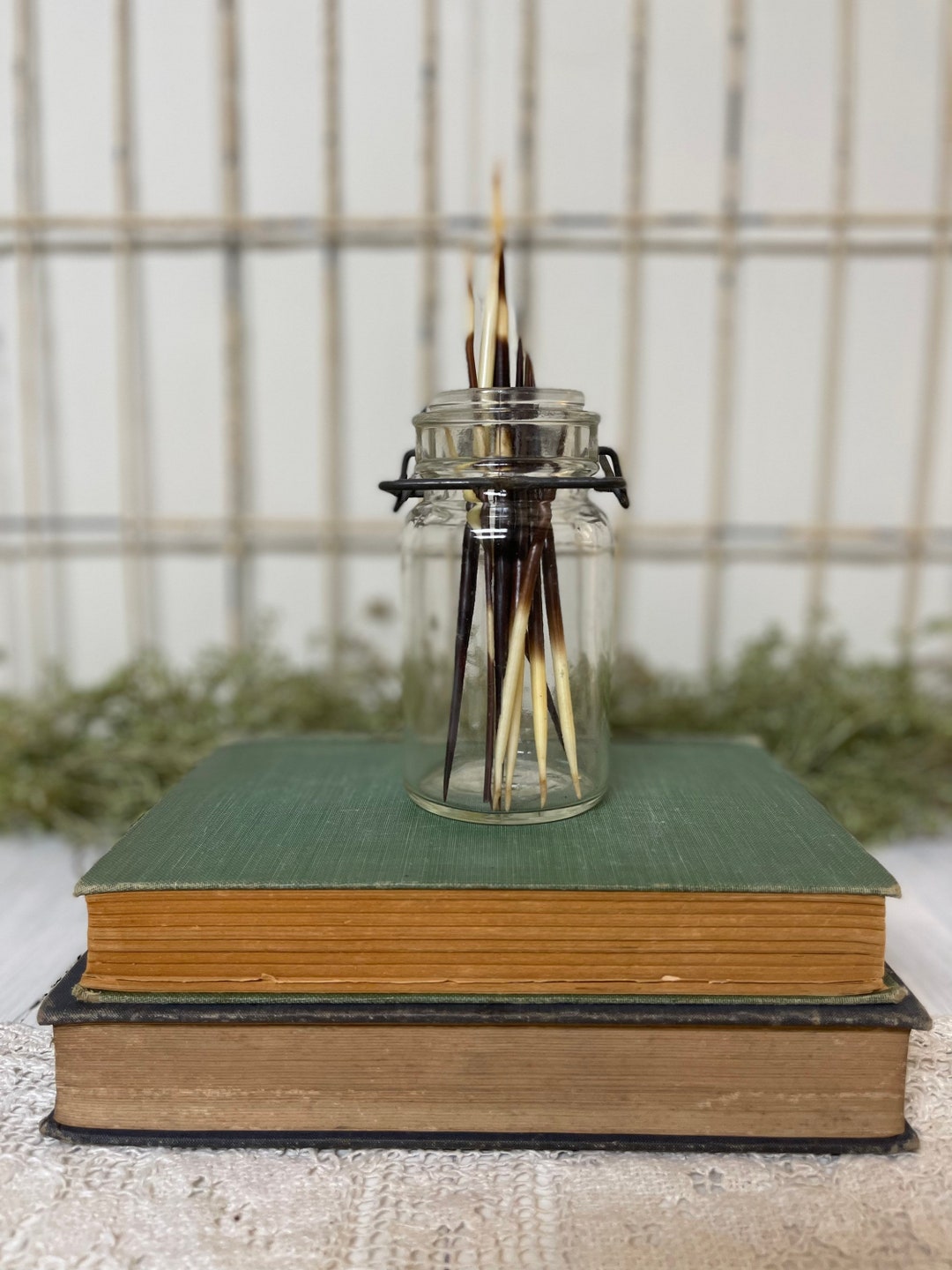 Authentic Vintage Porcupine Quills/ African Porcupine Quills/ Taxidermy ...