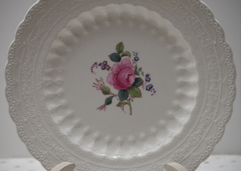Vintage Spodes Jewel Copeland Plate ~ Set of 2 ~ Spodes Billingsley ...