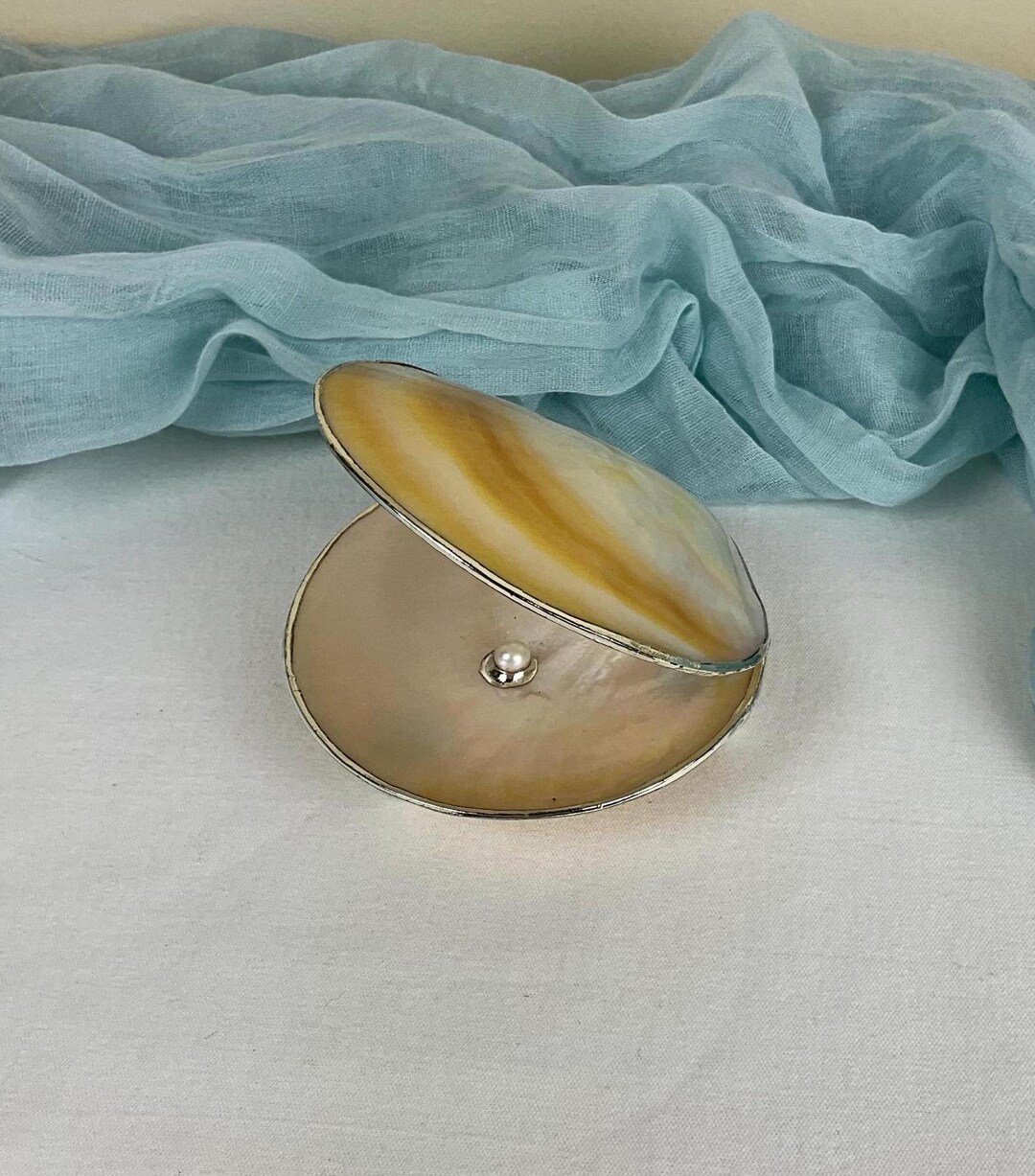 Vintage Clam Shell Decor ~ Clam Shell ~ Beach House Decor - Etsy
