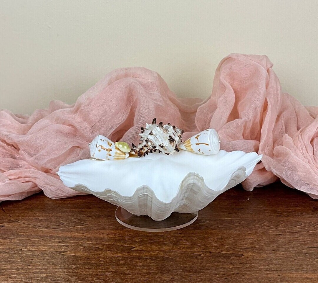 Vintage Clam Shell Dish ~ Real Clam Shell and Sea Shells Dish ...
