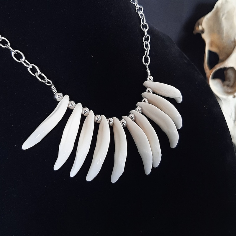 Real Wolfs Tooth Necklace - Etsy