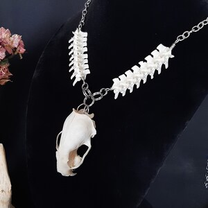 Mink Skull Necklace, Skull Pendant, Real Skull, Bone Necklace, Witch ...