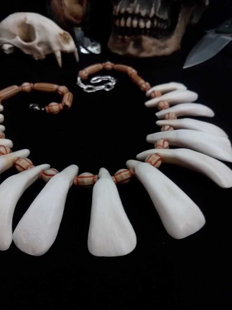 Bone Necklace Tooth Necklace Buffalo Tooth Necklace Native | Etsy