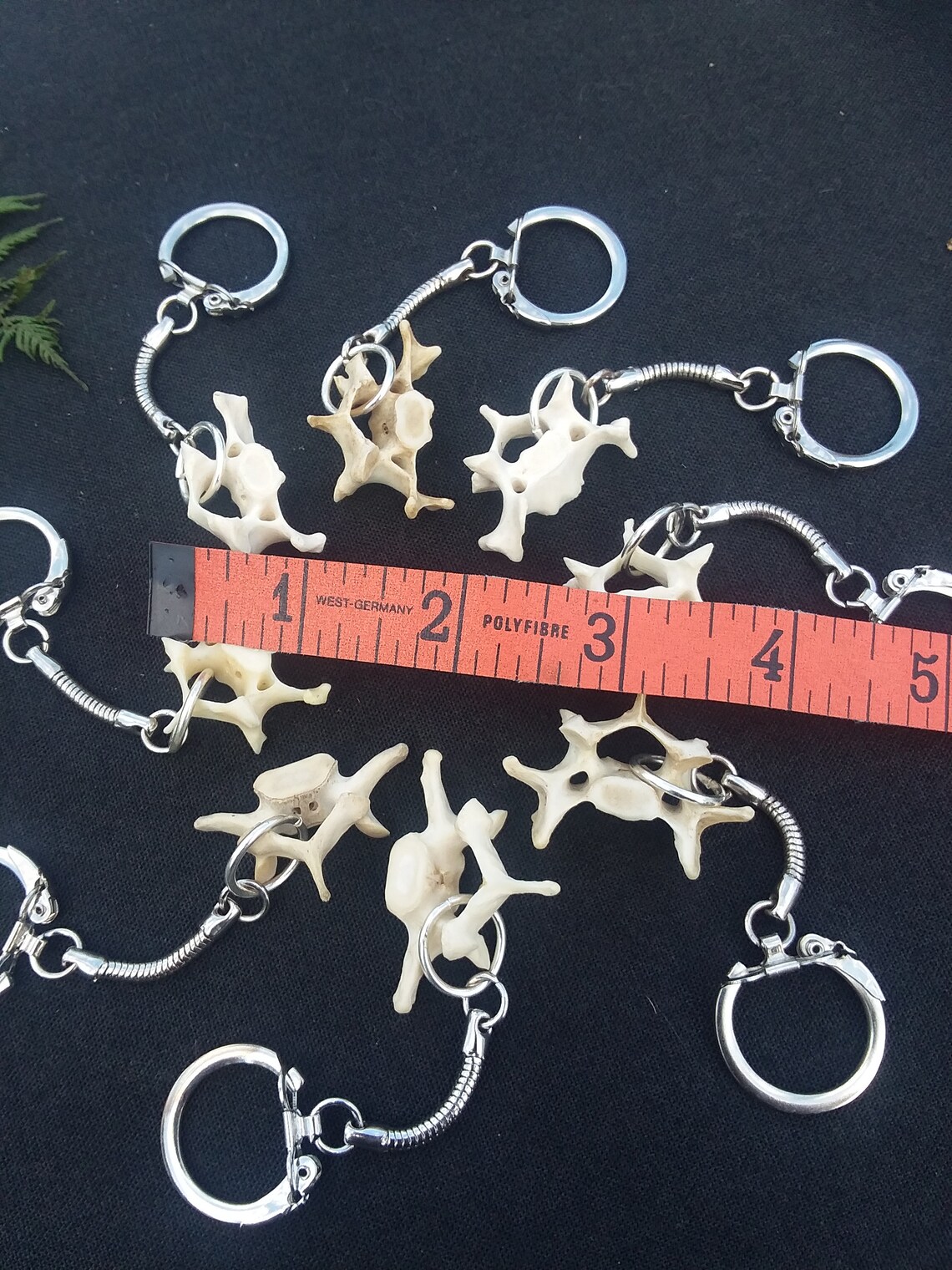 Raccoon Vertebrae Keychain Bone Keychain Bone Key Chain | Etsy