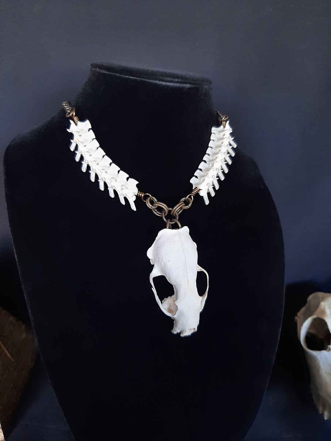 Bronze Mink Skull Necklace, Skull Pendant, Real Skull, Bone Necklace ...