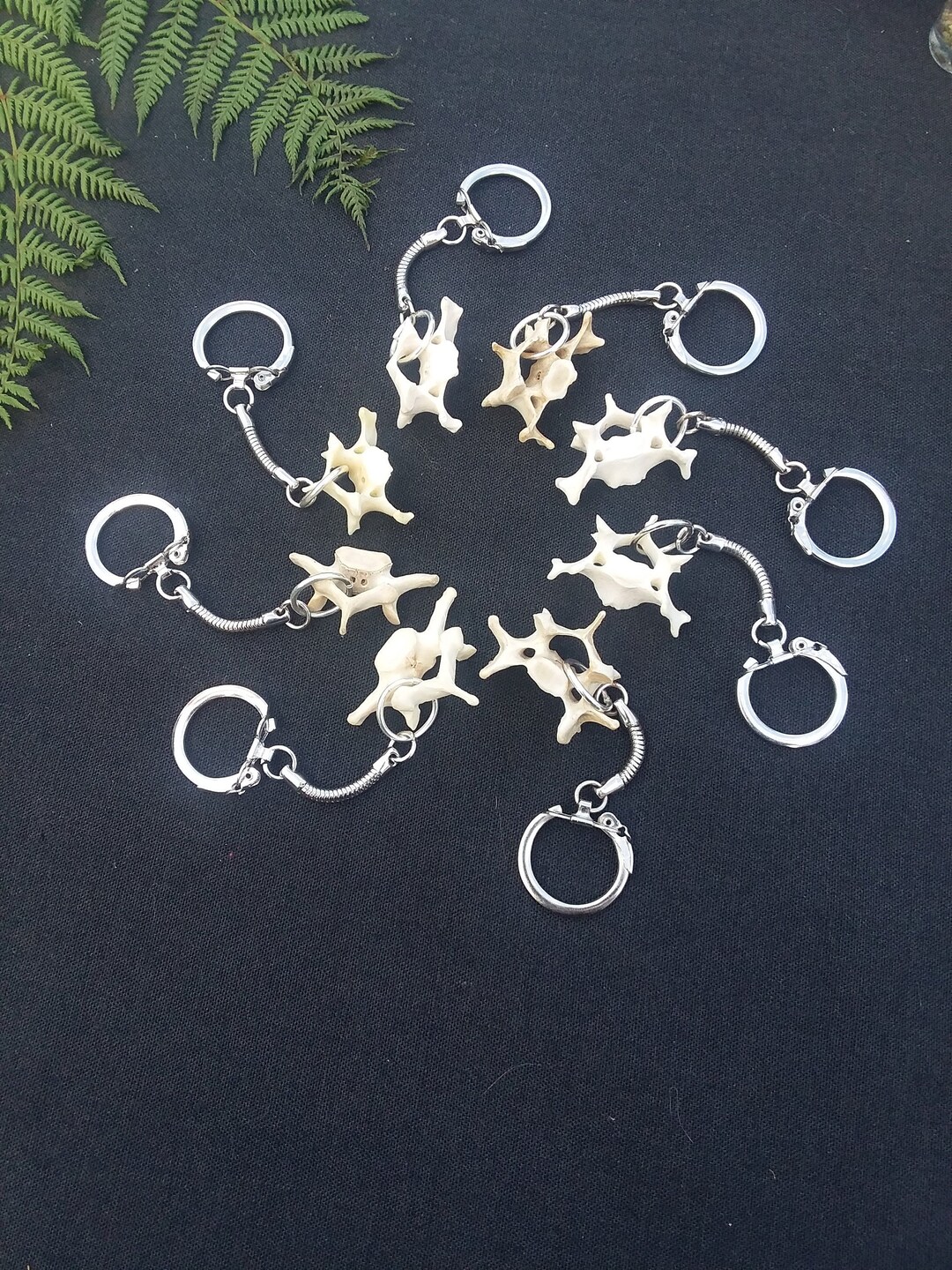 Raccoon Vertebrae Keychain, Bone Keychain, Bone Key Chain, Wiccan ...