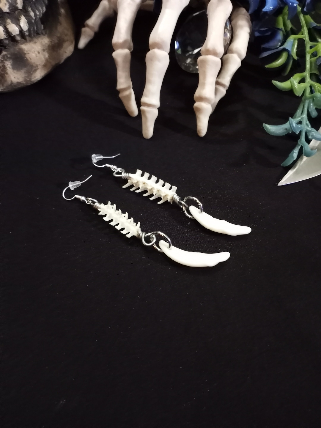 Tooth Earrings, Rattlesnake, Bone Earrings, Coyote Tooth Earrings ...