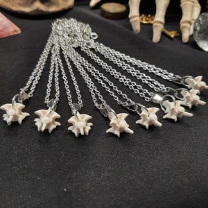 Small Rattlesnake Bone Pendant, Snake Bone Jewelry, Bone Pendant, Bone ...