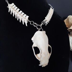 Mink Skull Necklace, Skull Pendant, Real Skull, Bone Necklace, Witch ...