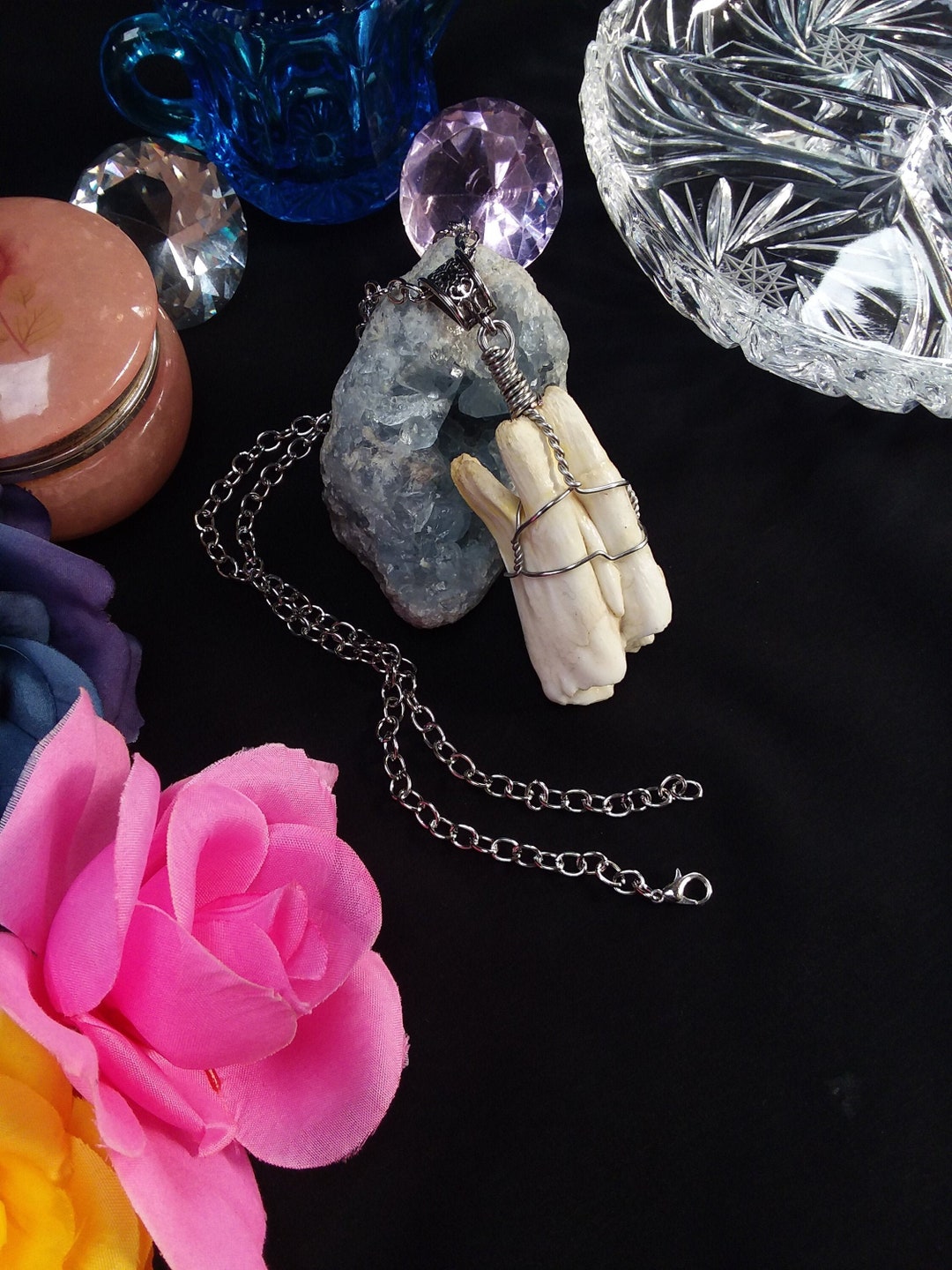 Huge Cow Tooth Pendant, Real Tooth Pendant, Tooth Pendant, Oddities ...