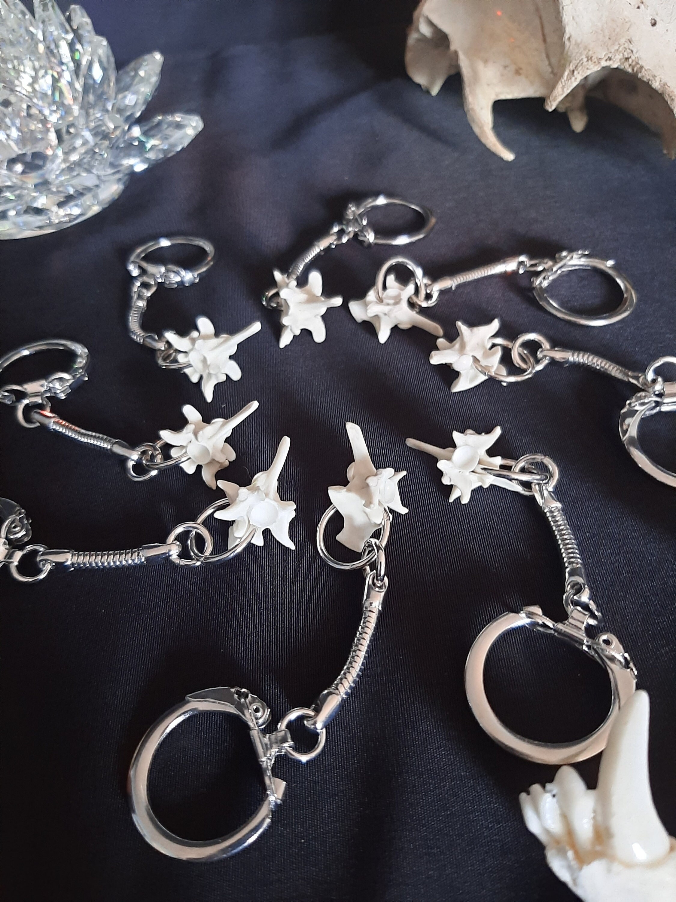 Rattlesnake Bone Keychain, Vertebrae Keychain, Key Chain, Real Bone ...