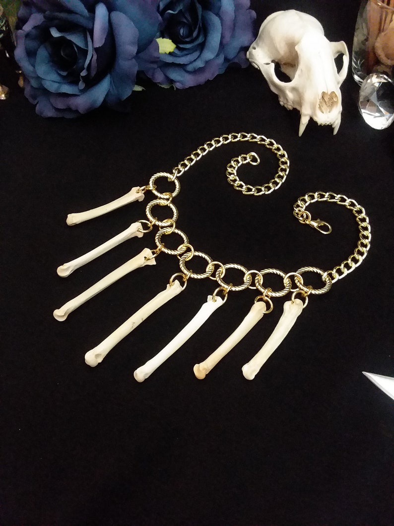 Coyote Bone Necklace Gothic Necklace Bone Jewelry Bone | Etsy