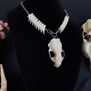 Mink Skull Necklace, Skull Pendant, Real Skull, Bone Necklace, Witch ...