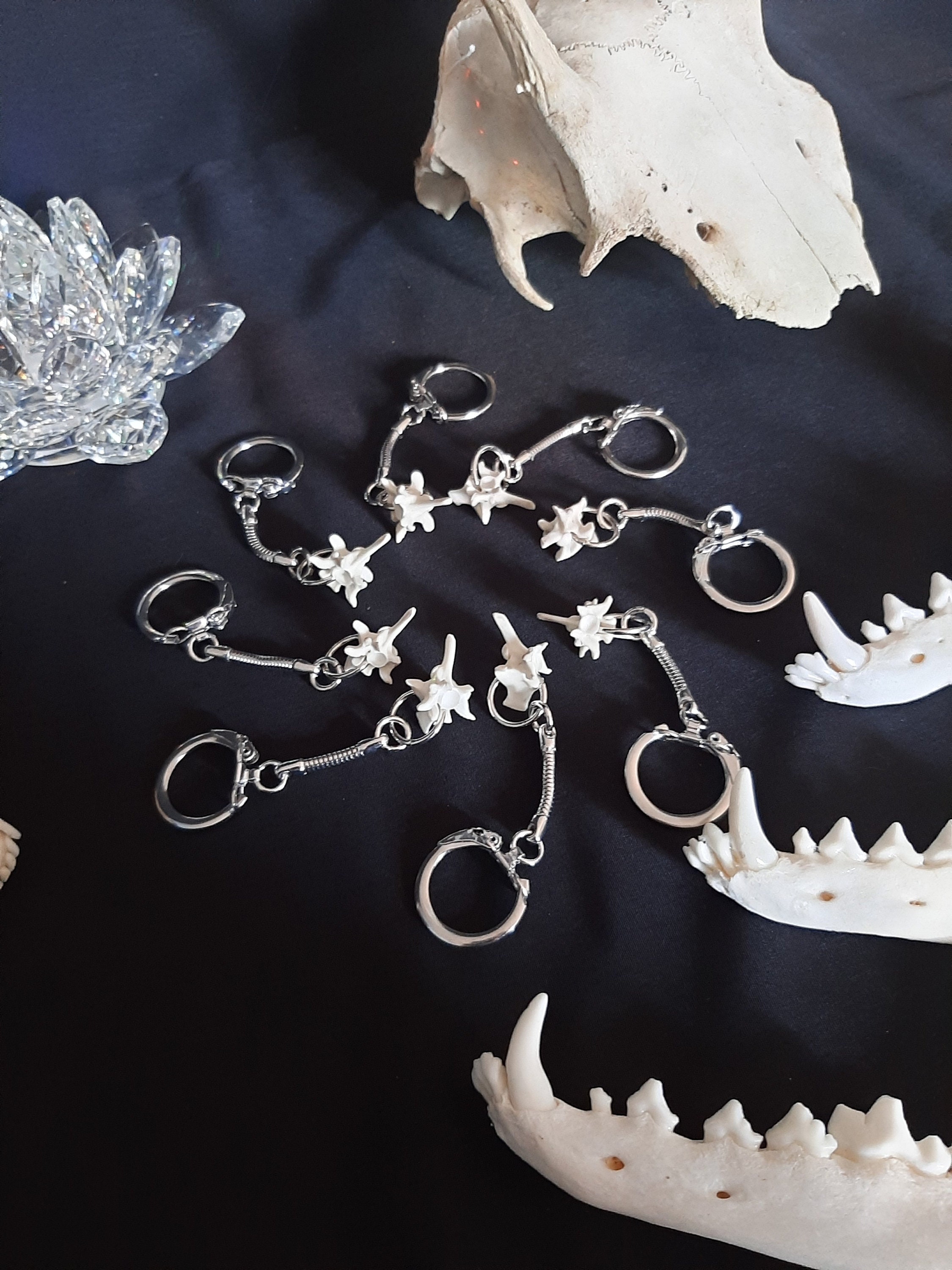 Rattlesnake Bone Keychain, Vertebrae Keychain, Key Chain, Real Bone ...