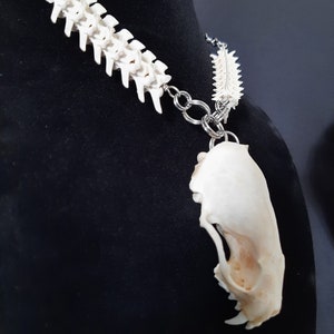 Mink Skull Necklace, Skull Pendant, Real Skull, Bone Necklace, Witch ...