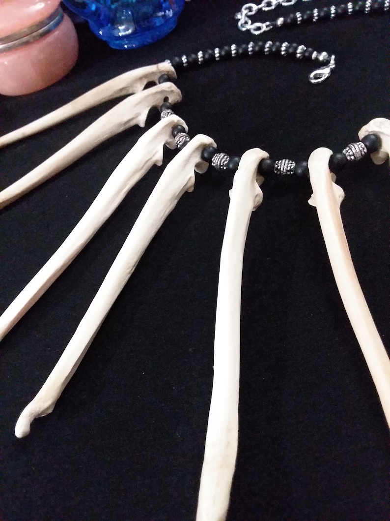 Bone Jewelry Raccoon Bone Necklace Bone Necklace Real Bone - Etsy