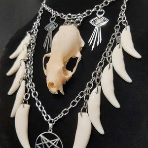 Mink Skull Necklace, Replica Tooth Necklace, Skull Necklace, Bone ...