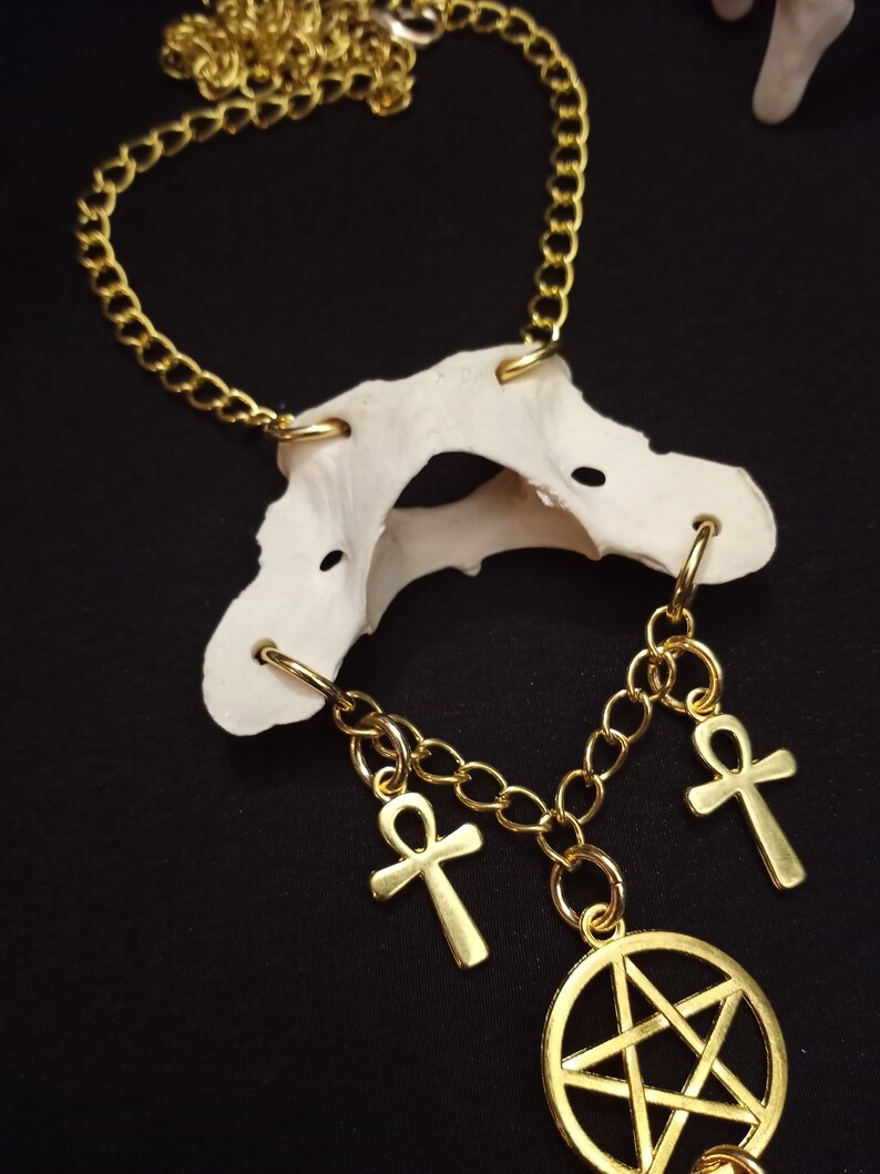 Egyptian Necklace Scarab Necklace Coyote Bone Necklace Bone - Etsy