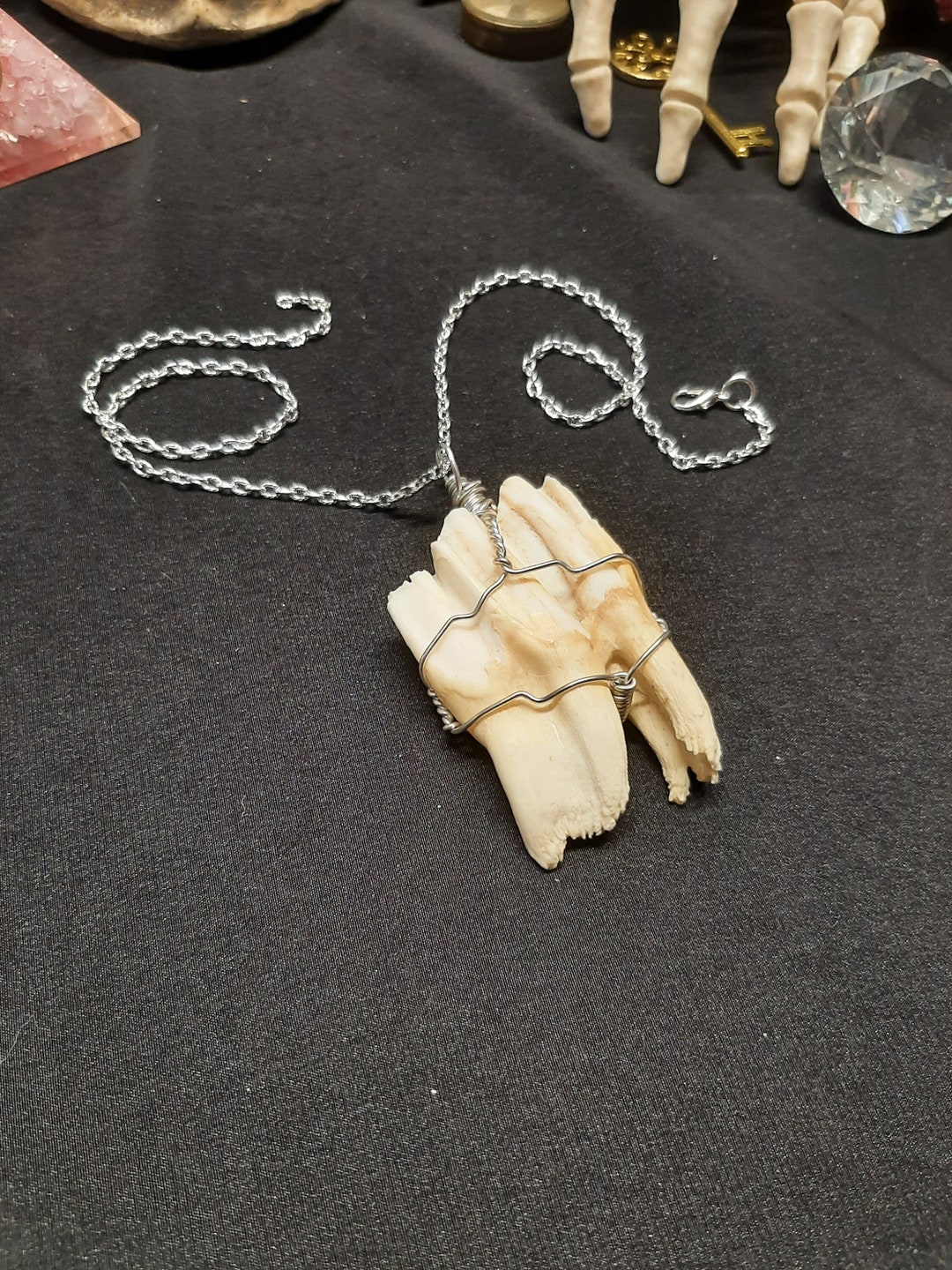 XL Cow Tooth Pendant, Tooth Pendant, Cow Tooth Necklace, Real Tooth ...