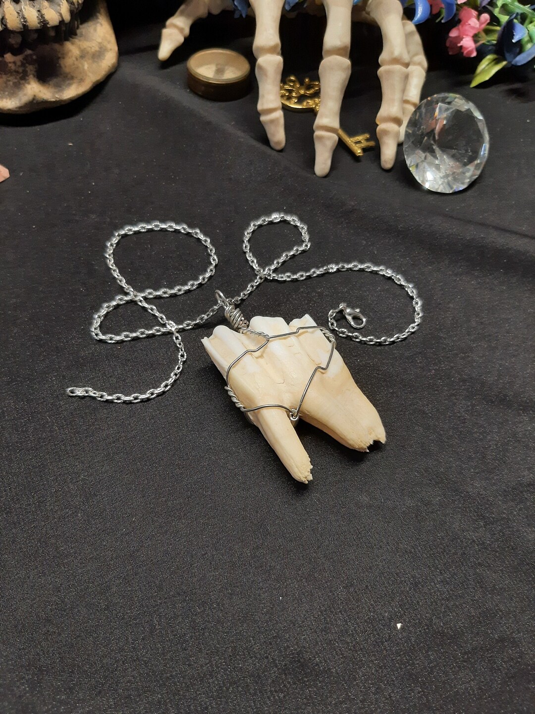 Huge Cow Tooth Pendant, Tooth Pendant, Cow Tooth Necklace, Real Tooth ...