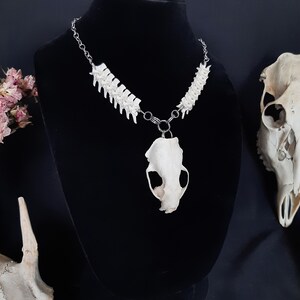 Mink Skull Necklace, Skull Pendant, Real Skull, Bone Necklace, Witch ...