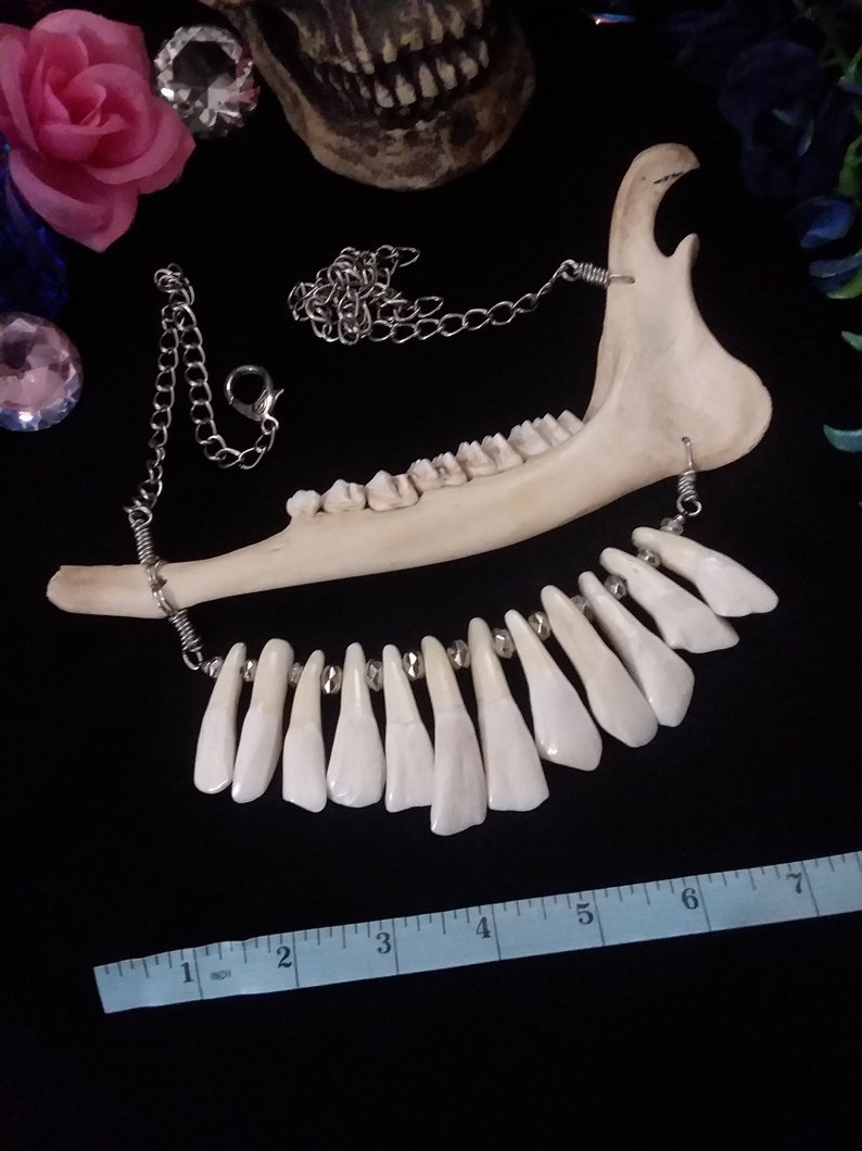 Buffalo Tooth Necklace Tooth Necklace Bone Necklace Bone | Etsy