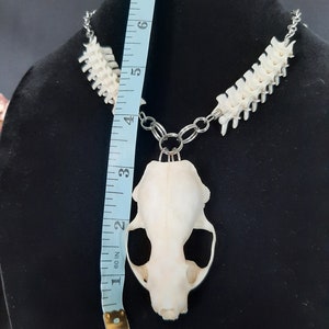 Mink Skull Necklace, Skull Pendant, Real Skull, Bone Necklace, Witch ...