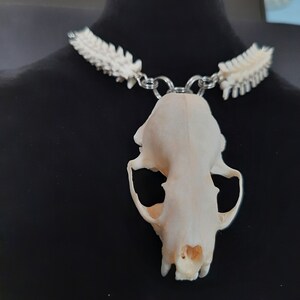 Mink Skull Necklace, Skull Pendant, Real Skull, Bone Necklace, Witch ...