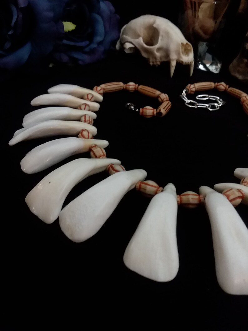 Bone Necklace Tooth Necklace Buffalo Tooth Necklace Native | Etsy