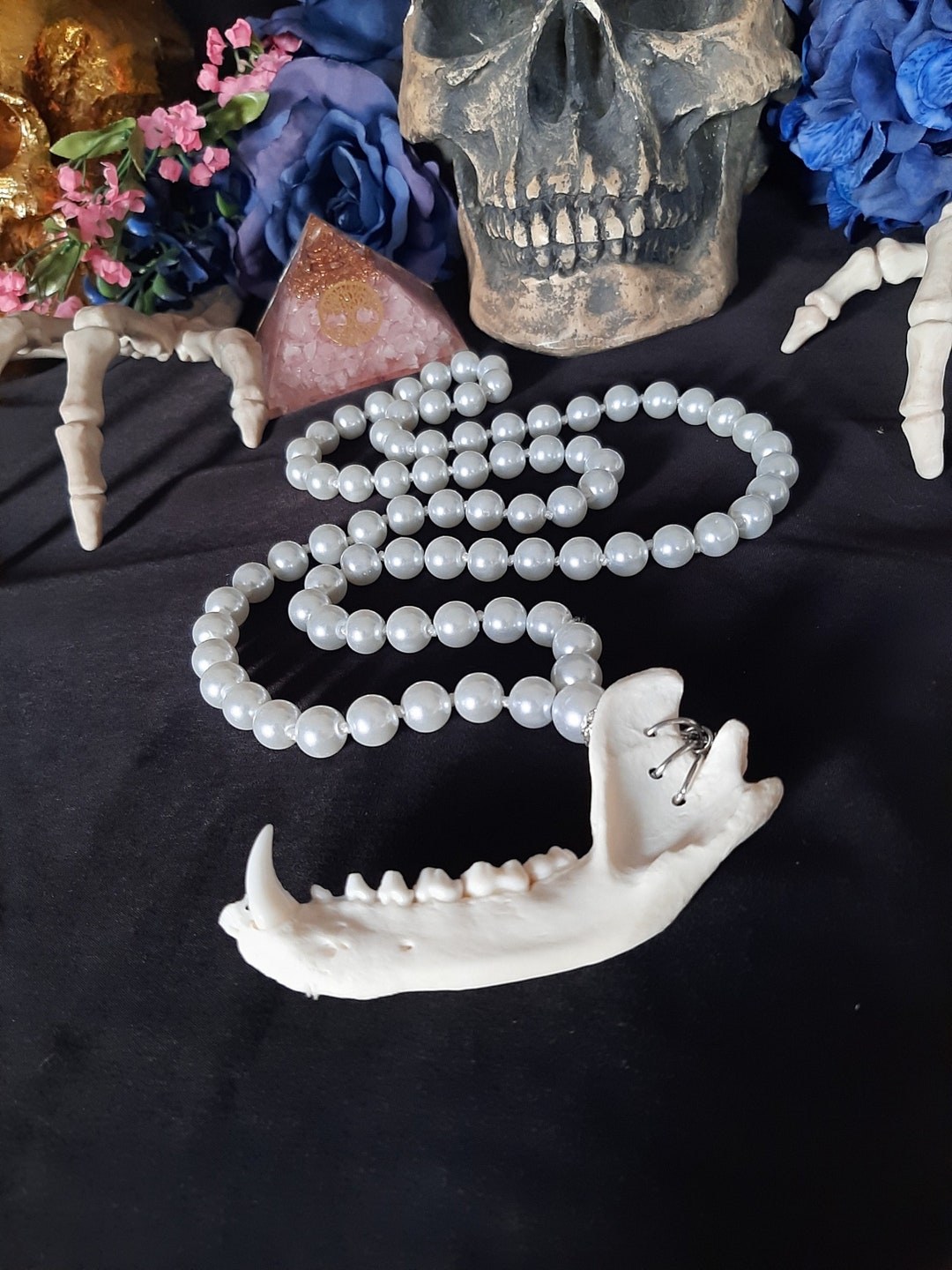 Raccoon Jawbone Necklace, Pearl Bone Necklace, Real Bone Necklace, Bone ...