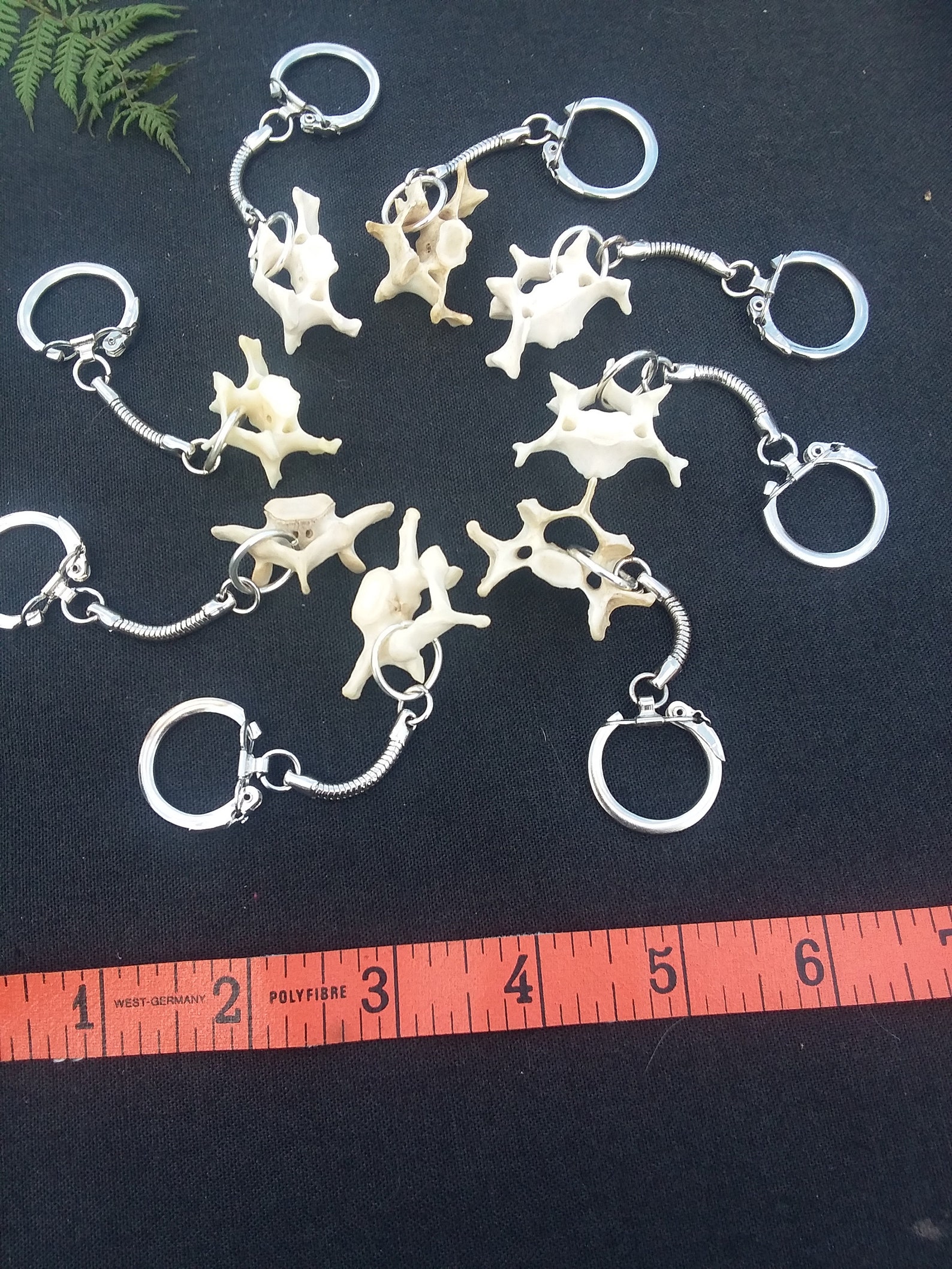 Raccoon Vertebrae Keychain Bone Keychain Bone Key Chain | Etsy