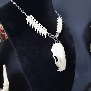 Mink Skull Necklace, Skull Pendant, Real Skull, Bone Necklace, Witch ...