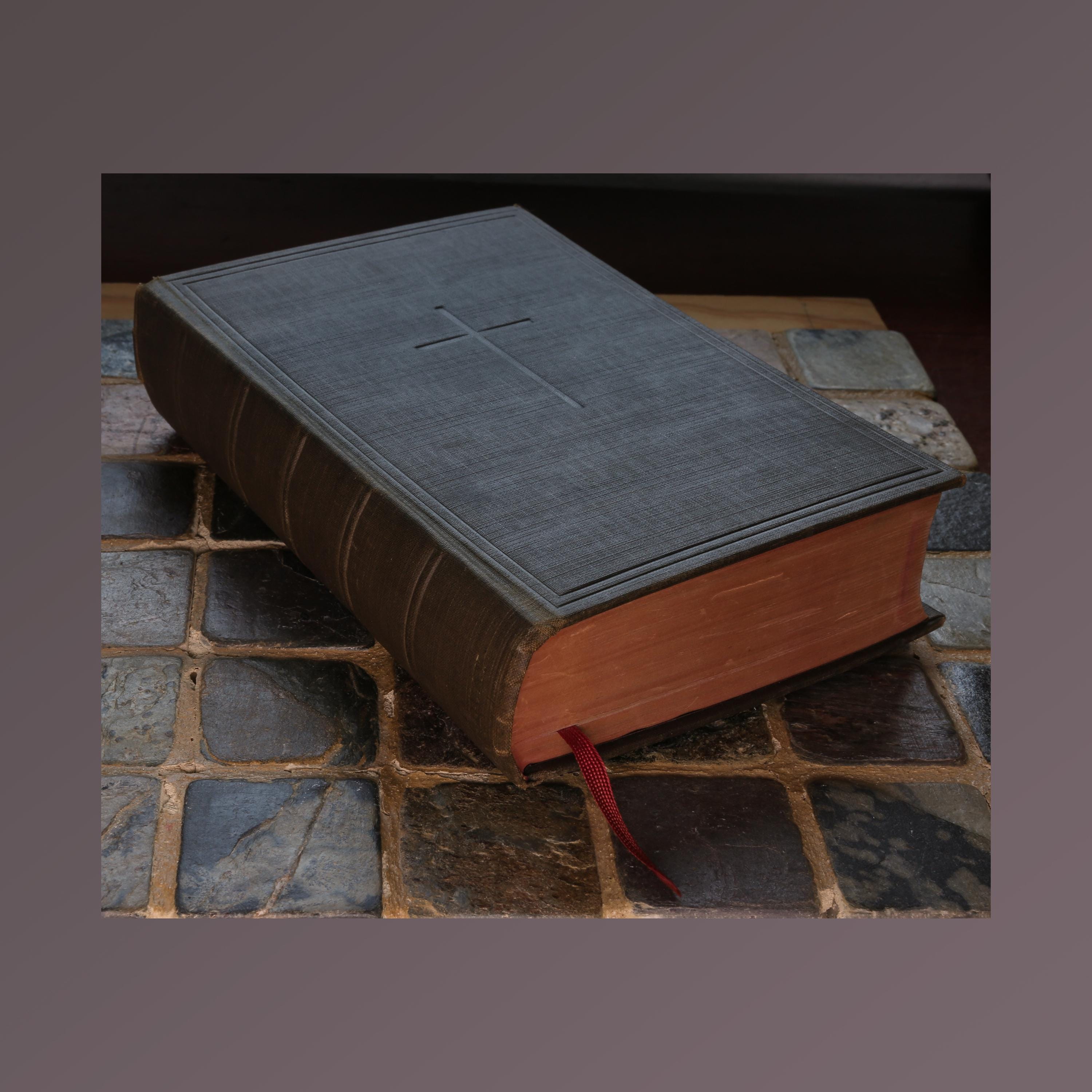 1941 Douay Catholic Holy Bible Pope Leo XIII, Pope Pius XII Family ...