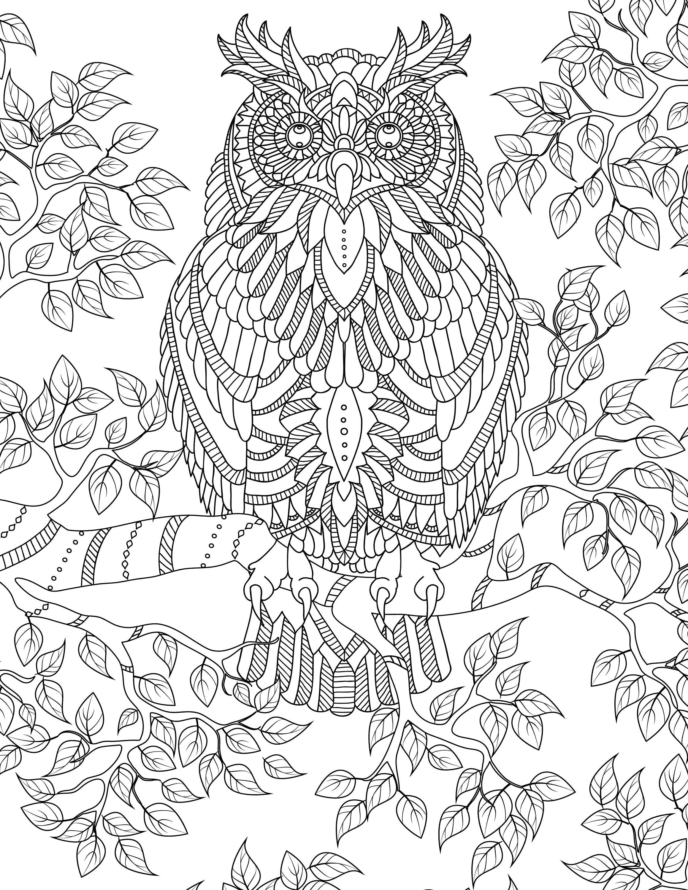 Bird Coloring Page - Etsy