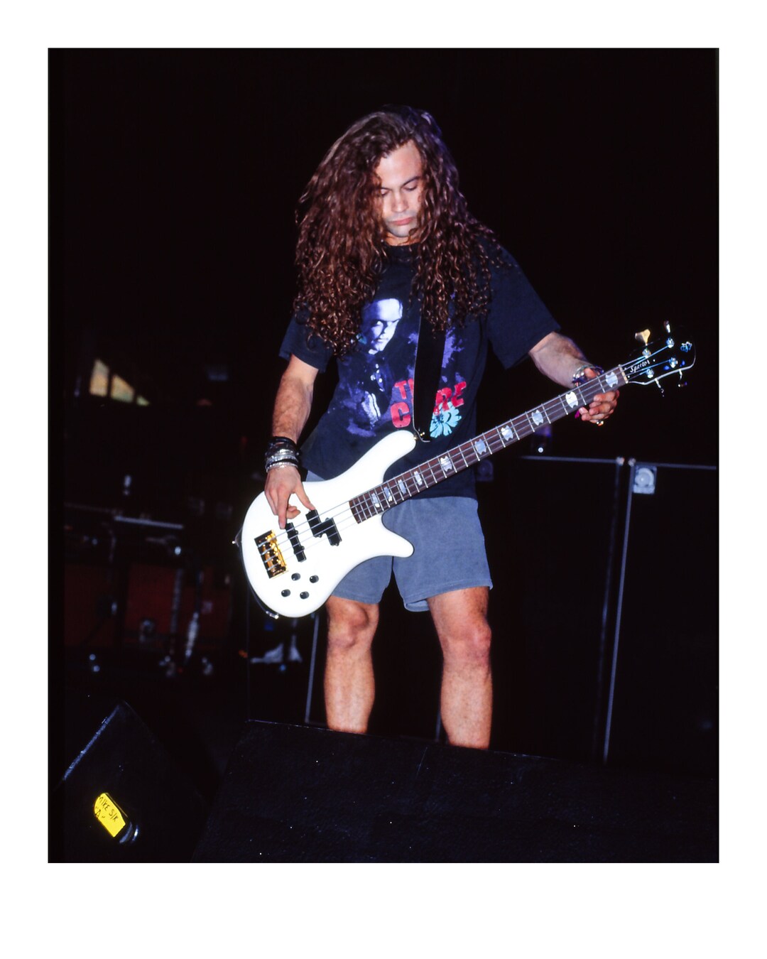 1991 Mike Starr Alice in Chains High Quality Fine Art Archival Photo ...