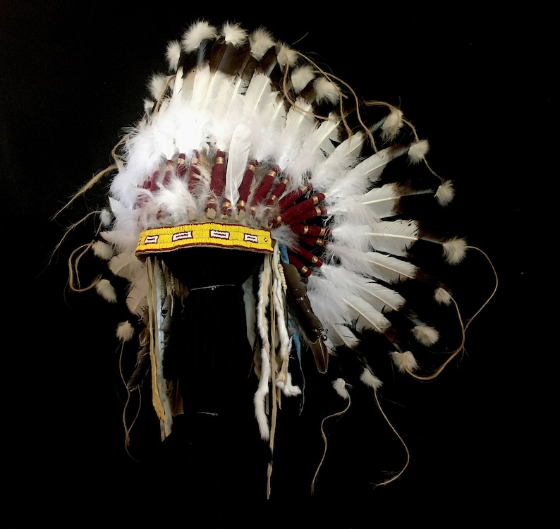 Hunkpapa Sioux Style War Bonnet. Striking Elegant - Etsy