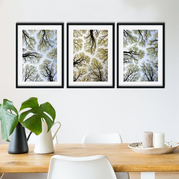 Tree Triptych - Etsy