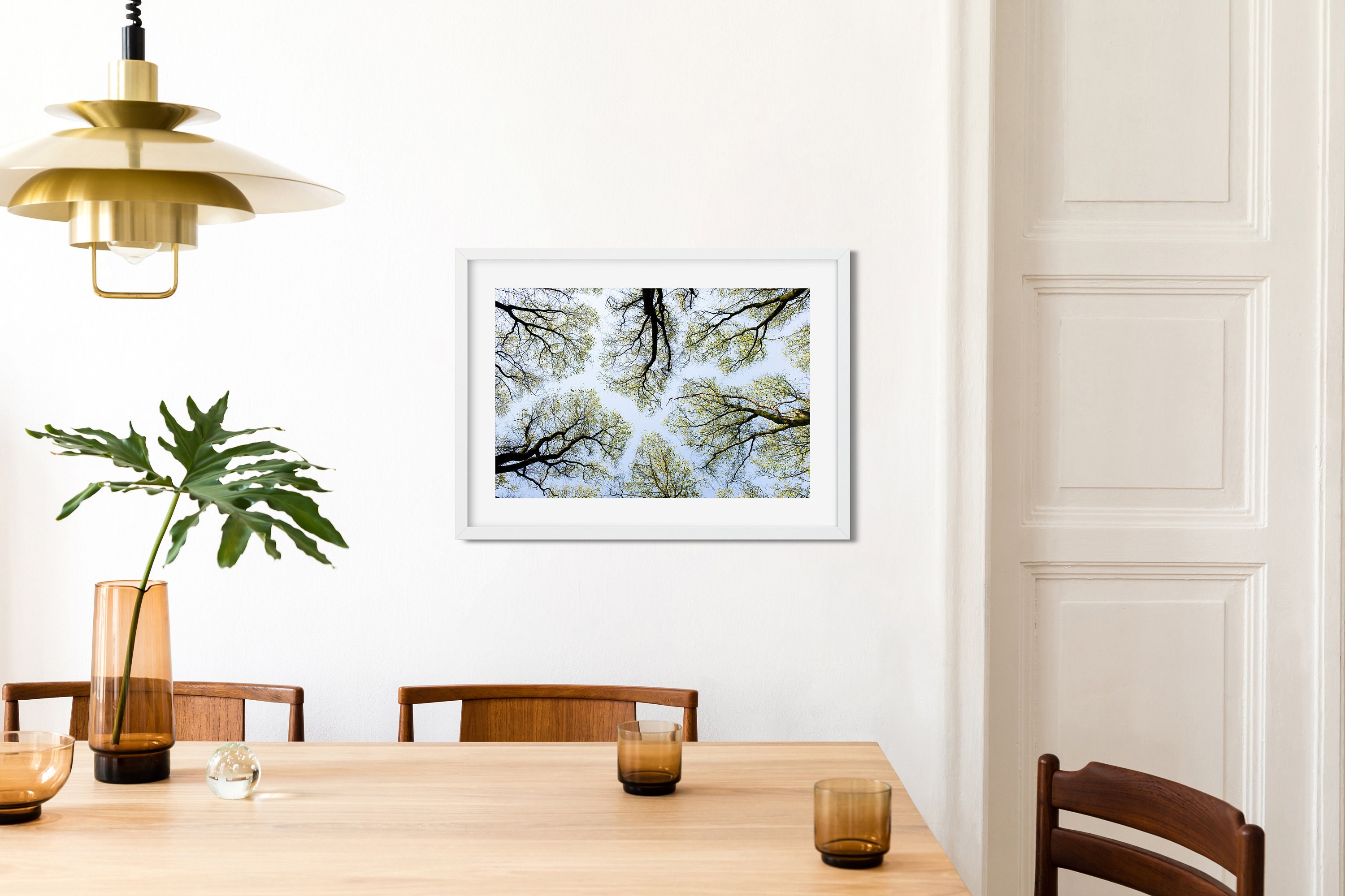 Canopy Photography Print high up in the Canopy I - Etsy